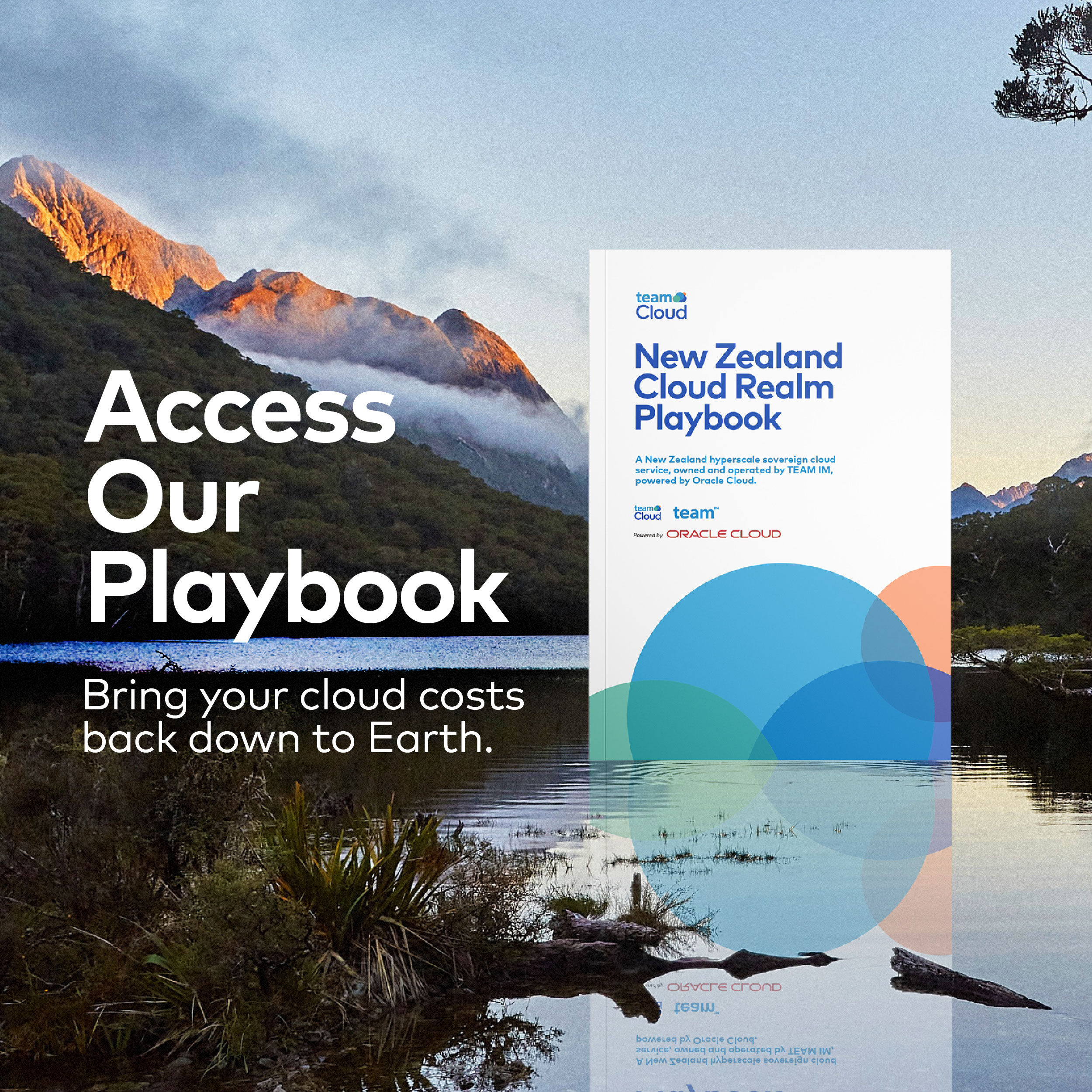 TEAM Cloud Playbook Access